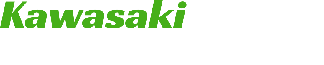 2012 Kawasaki BRUTE FORCE 750 4X4I EPS (KVF750GCF) Frame | Holzhauers