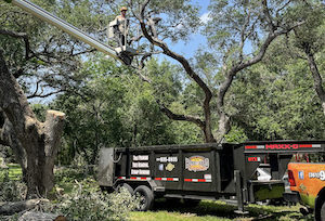 Tree Service and Landscape Trailer Options | MAXX-D Trailers