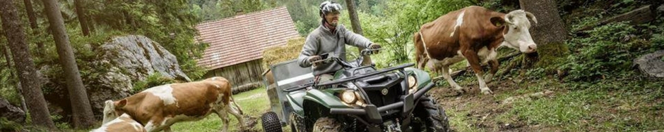 Yamaha ATV Maintenance Checklist
