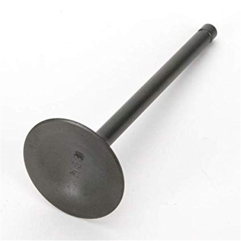 Titanium Intake Valves 84000012, Polaris Parts Monster