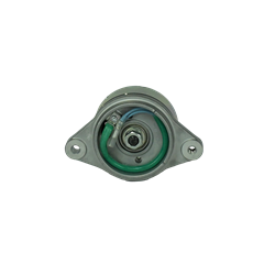B2710HSD V1305-E-D12 PN#1G080-00001 REPLACEMENT ENGINE RCK60-27B ...