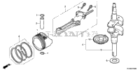 Honda Power Equipment HRS216K7 PKAA Piston@Crankshaft | Shanks Lawn