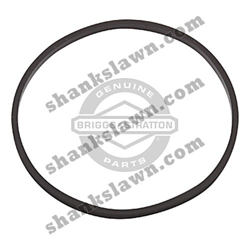 Briggs & Stratton 281165S : Shank's Lawn Troy-Bilt