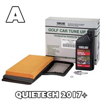 Tune-Up Kits : TNT Golf Car & Motorsports